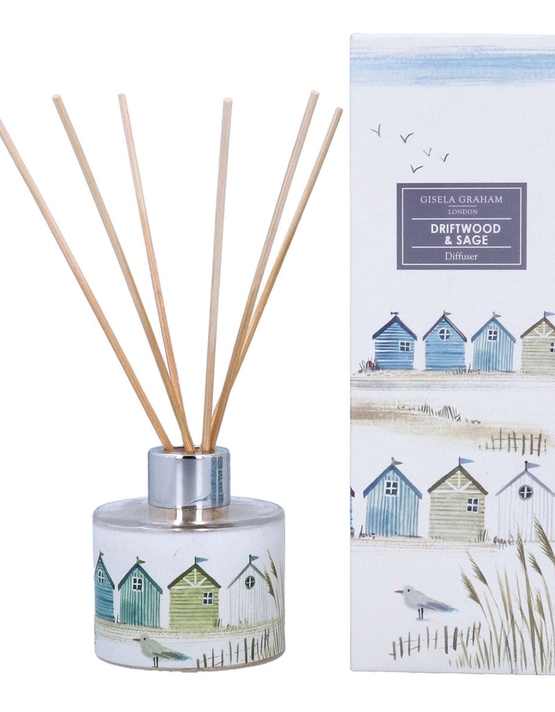 New In – Collecting Seashells