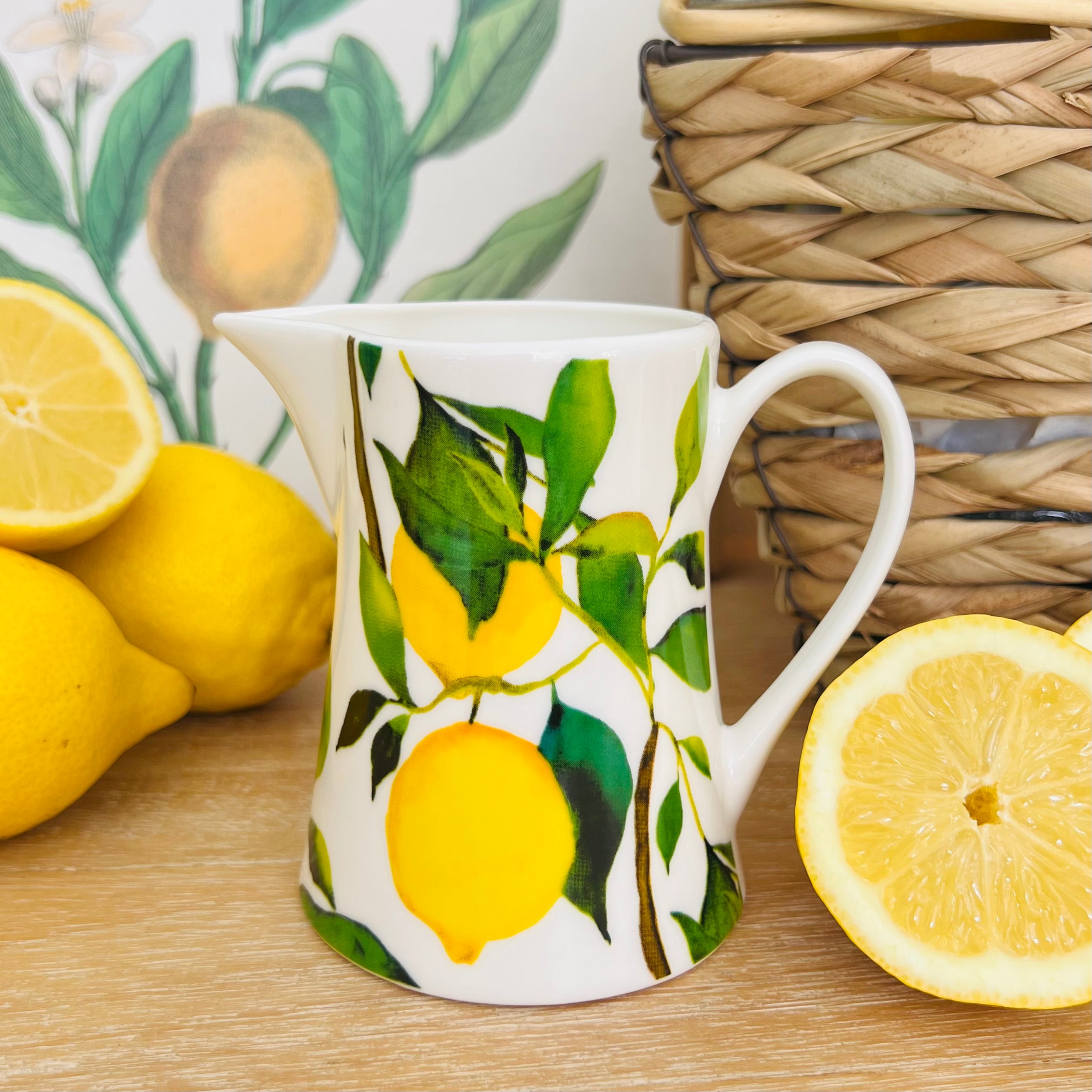 Collecting Seashells | Beautiful Home Decor | Bone China Mini Jug ...