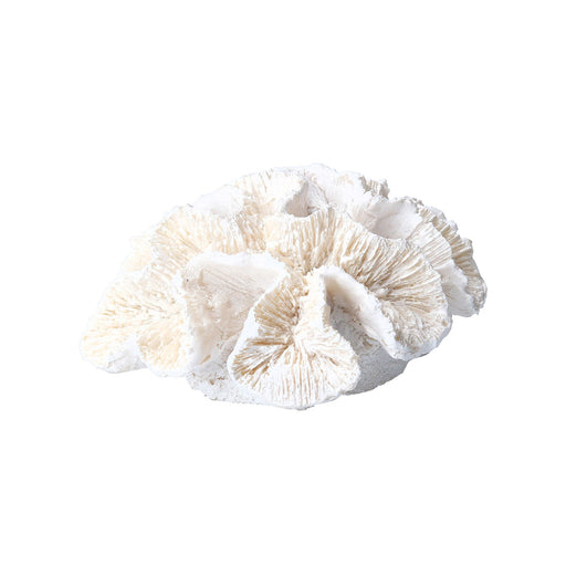 Collecting Seashells | Gorgeous Home Accessories | By The Sea Collection