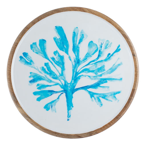 Collecting Seashells | Gorgeous Home Accessories | By The Sea Collection