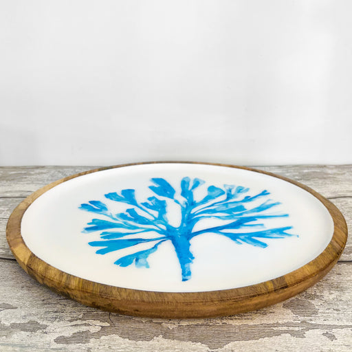 Collecting Seashells | Gorgeous Home Accessories | By The Sea Collection